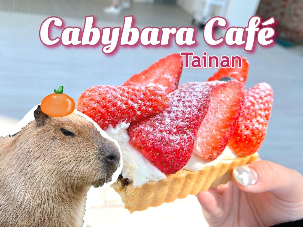 MOGU KAPI Capybara Cafe in Taiwan