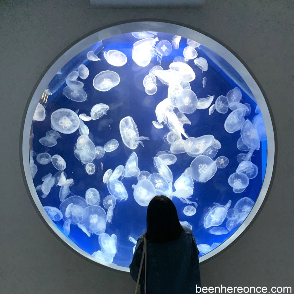 Xpark Aquarium in Taoyuan, Taiwan